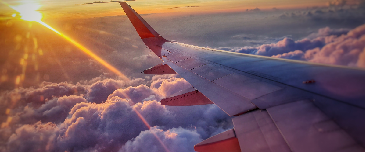 Flight Tracker API (Live Flight Radar API): Get Real-time Flight ADS-B ...